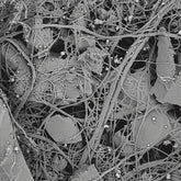 Rorra Countertop System